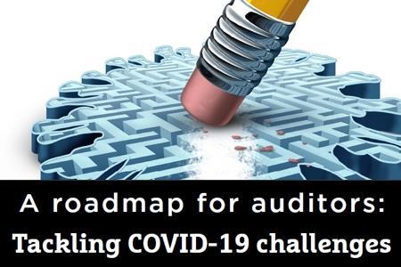 e-Book: A Roadmap for Auditors Tackling COVID-19 Challenges | Resource ...